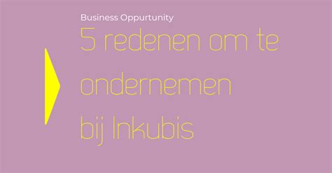 5 Redenen Om Te Ondernemen Bij Inkubis Inkubis