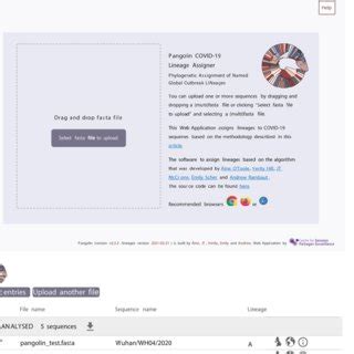 Pangolin Web Application Interface A The Image Shows The Landing Page