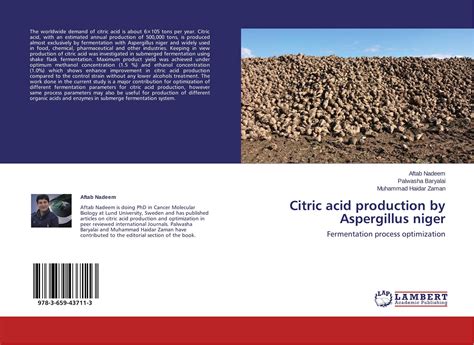 Citric Acid Production By Aspergillus Niger 978 3 659 43711 3