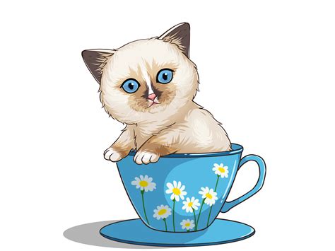 茶杯猫10 一个不重复的名12 站酷ZCOOL