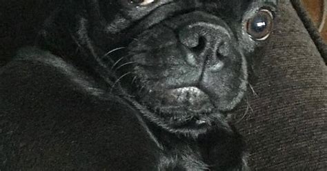 Mrw I Wake Up In The Middle Of The Night Only To Realize I Have A