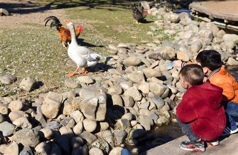Vacaciones De Invierno 2023 En Rosario Qué Hacer Y Dónde Ir Para