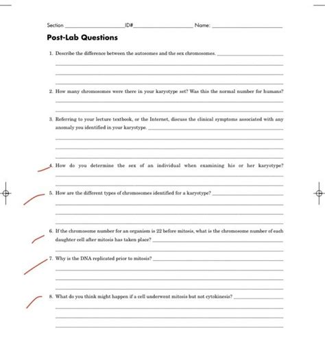 Section ID Name Post Lab Questions Describe The Chegg Com