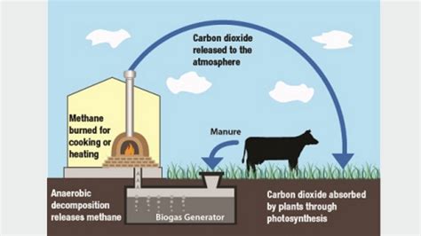 Types Of Biogas Systems American Biogas Council