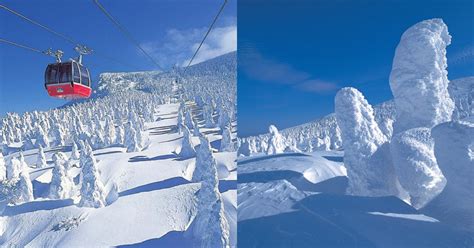 「雪怪」出沒注意！日本山形必訪藏王樹冰奇景，踏進雪白夢幻世界！ 山形、雪、夢幻、美景、滑雪 妞特企 愛玩妞 妞新聞 Niusnews