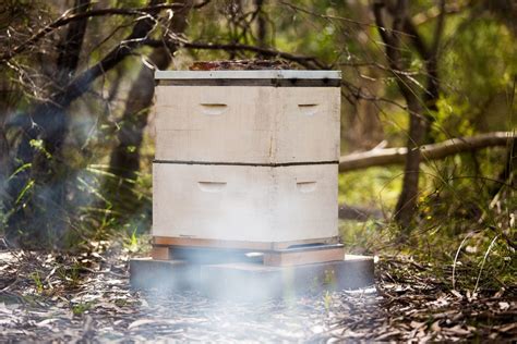 How To Make Beehive Frames From Scratch Complete Beehives