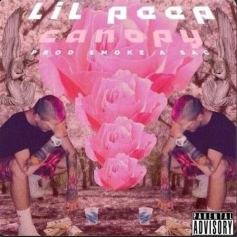 Listen To Music Albums Featuring Lil Peep Birdsong Remaster By