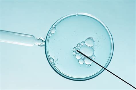 Fecundación In Vitro Panama Fertility