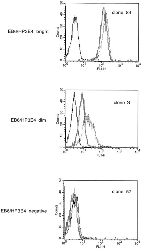 Nk Clones Inhibited By Target Cell Expression Of Hla Cw6 Differing In
