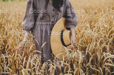 밀짚 모자를 쓴 여자가 밭에 밀 줄기를 들고 잘린 시야 대기의 고요한 순간 소박한 린넨 드레스를 입은 여성이 여름 시골에서 잘 익은 밀 귀에 닿았습니다 시골의 느린 삶