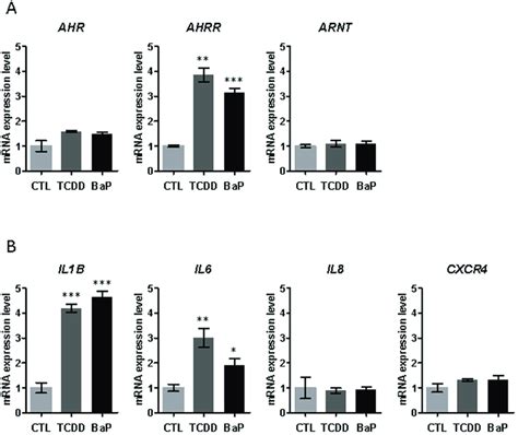 Mrna Expression Levels Of Ahr Ahrr And Arnt And Of Genes Involved In