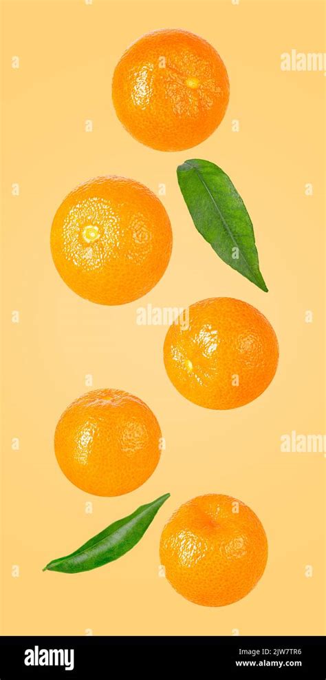 Isolated Clementine Fruits In The Air On Pastel Colore Background Stock