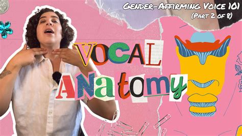 Gender Affirming Voice 101 Vocal Anatomy