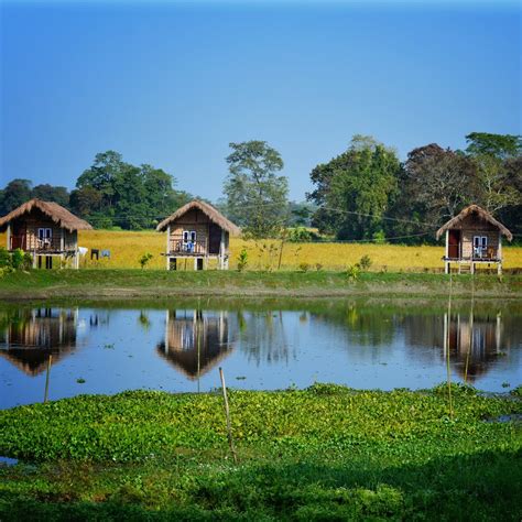 Majuli Assam Lbb