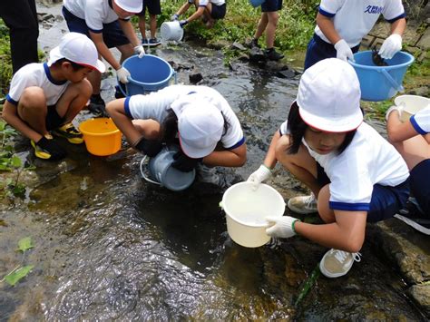 ウナギモクズガニの放流4年生 嬉野市立久間小学校