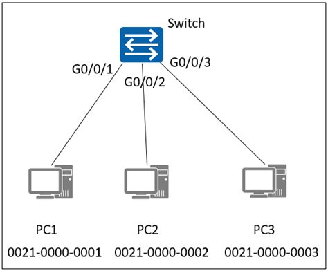 types of mac address entries