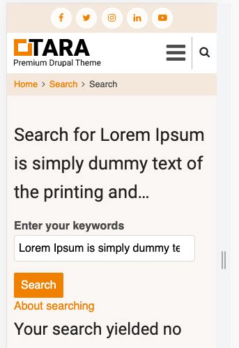 Search Button Need Space From Top 3345452 Drupal Org