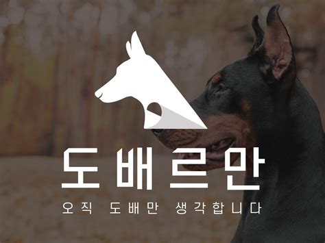 회사 크몽 서비스 검색