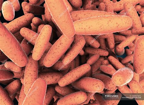 3d Illustration Of Pasteurella Multocida Bacteria This Is Gram