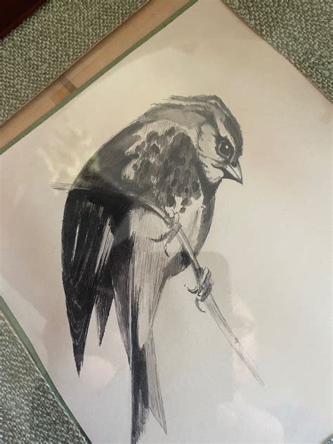 Proantic Dessin Encre Le Moineau
