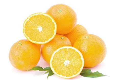 小甜橙速网百科