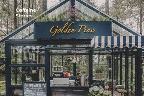 Orchid Forest Cikole Golden Pine Cafe Bak Negeri Dongeng Di Bandung