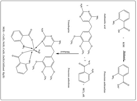 Scheme 1 Schematic Representation Preparation Of The Complexes