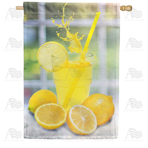 America Forever Lemonade Splash House Flag Just For Fun Flags