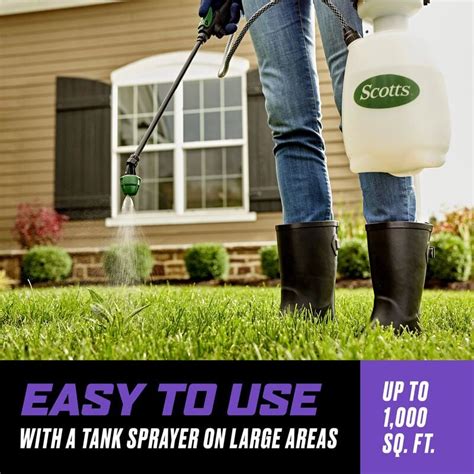 Ortho Weedclear Lawn Weed Killer South Ortho