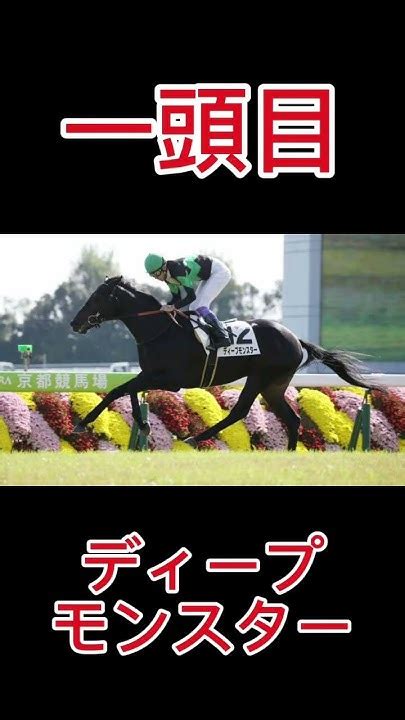 鳴尾記念2024！箱買い推奨3頭！shorts 競馬 競馬予想 競馬予想 中央競馬 ウマ娘 ウマ娘プリティーダービー Youtube