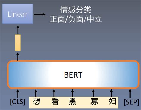 Bert模型预训练与微调bert预训练和微调 Csdn博客 Bert模型预训练与微调bert预训练和微调 Csdn博客