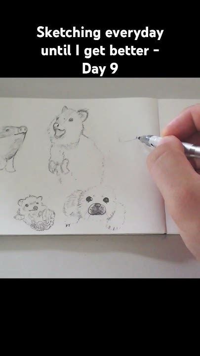 Day 9 Last Day Of Single Digits 100dayschallenge Consistency Sketch Youtube