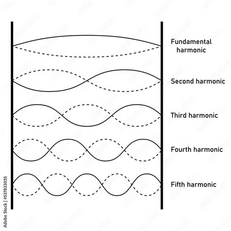 Vecteur Stock The First Five Harmonics Of Vibrations Of A Stretched