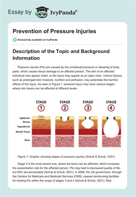Prevention Of Pressure Injuries 597 Words Essay Example