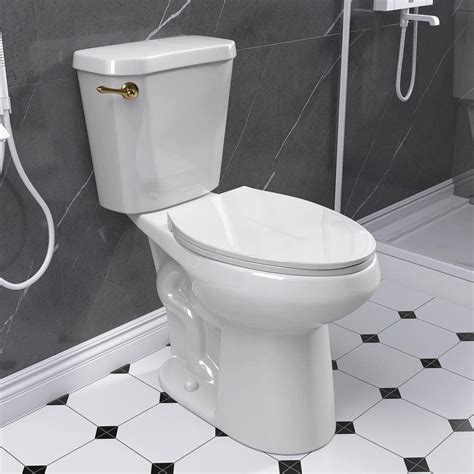 Ntq 2 Piece 128 Gpf 19 In Height Single Flush Elongated 12 In Rough