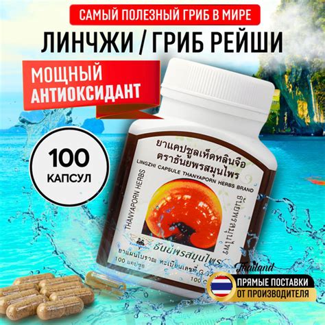 Thanyaporn Herbs Тайские капсулы Гриб Линчжи Рейши, 100 капсул купить ...