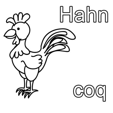 Ausmalbild Malvorlagen zum Französisch lernen Hahn coq kostenlos ausdrucken