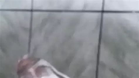 Tomando Banho Free Solo Man Porn Video 29 Xhamster