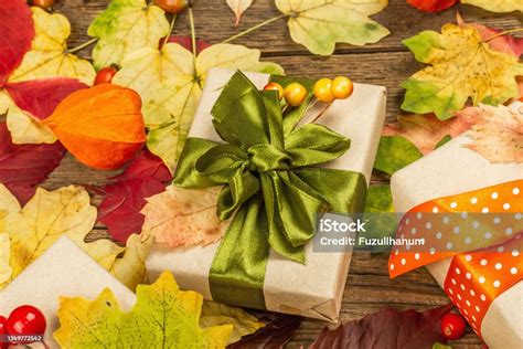 가을 디자인의 제로 폐기물 선물 컨셉 따뜻한 스웨터 가을 잎 테마 장식 가을에 대한 스톡 사진 및 기타 이미지 가을 선물 0명 Istock