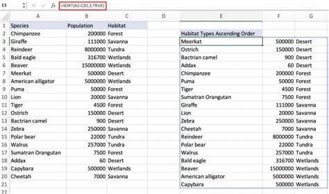 FILTER Function In Microsoft Excel The Easy Way MyExcelOnline