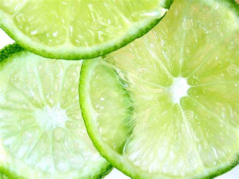 Lemom Stock Foto Image Of Voedsel Tropisch Groen Vruchten 102978