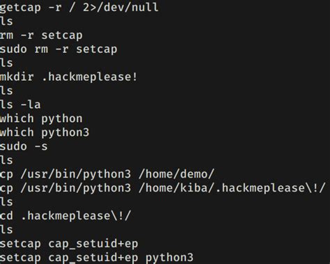 tryhackme kiba sckull