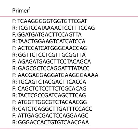 Primers Used For Quantitative Pcr Analysis Download Scientific Diagram