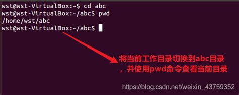 Linux常用的命令总结（一）——ls命令与cd命令cd Ls Csdn博客