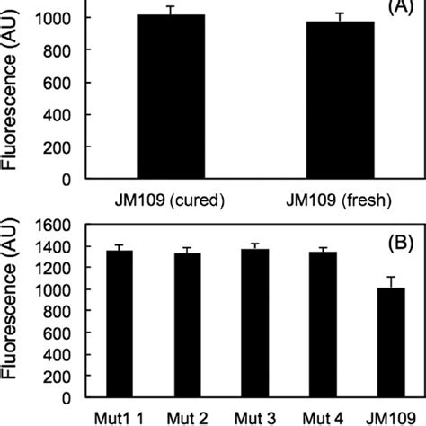 Mcherry Fluorescence Of Wild Type And Mutant Escherichia Coli Jm109 Download Scientific
