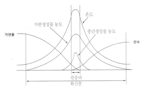 확산연소 네이버 블로그