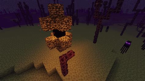 The End In Minecraft Gportal