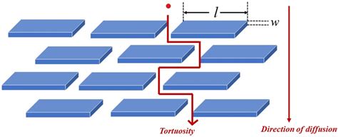 Schematic Illustration Of The Tortuous Path Model Download Scientific Diagram