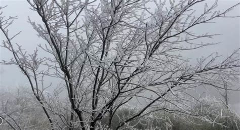 寒流來襲思源埡口零下低溫 出現霧淞美景 生活 中央社 Cna