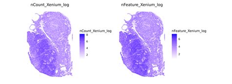 Annotating Cell Types In Xenium In Situ Data With Label Transfer 10x Genomics